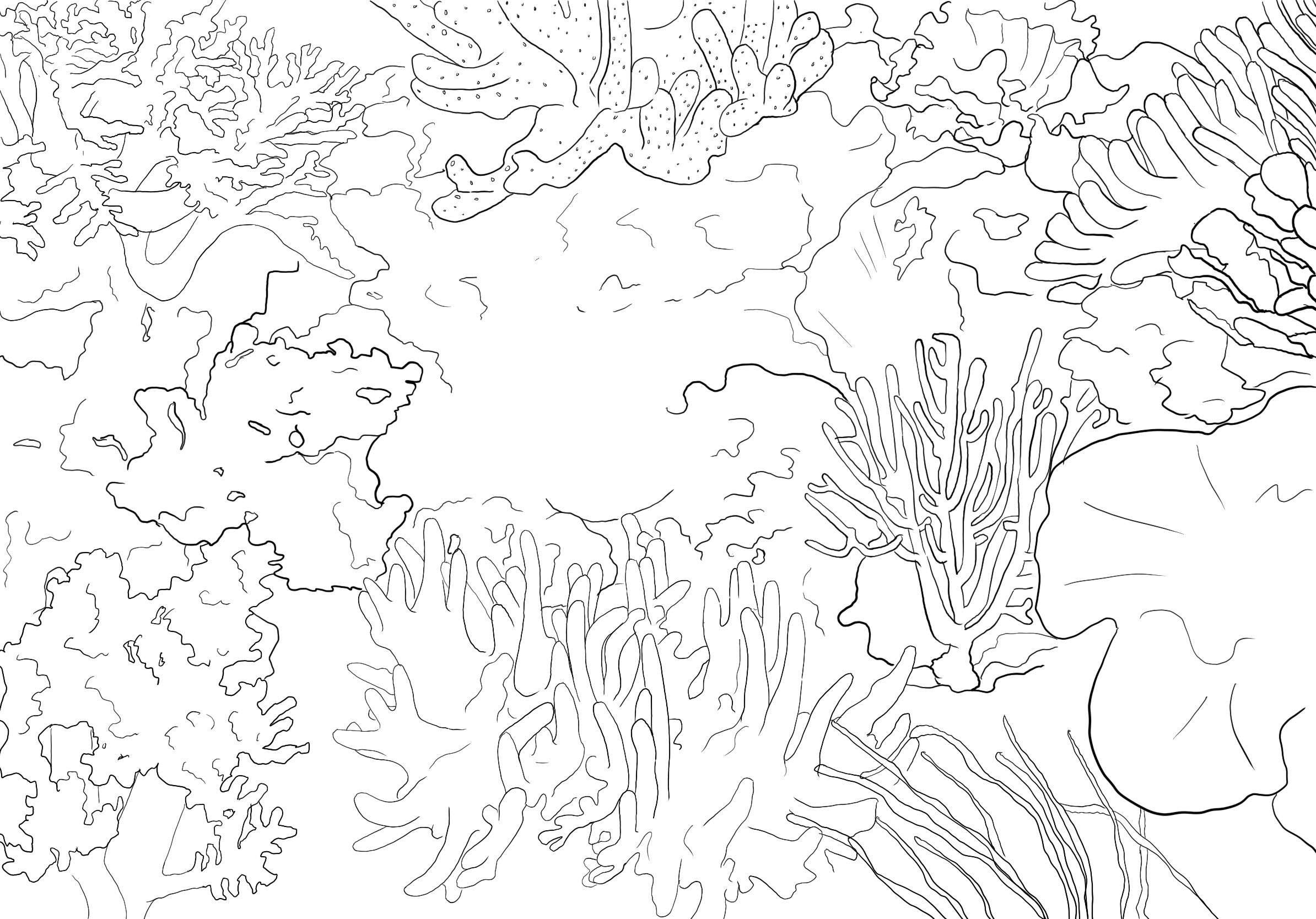 Coral Reefs - NAMEPA