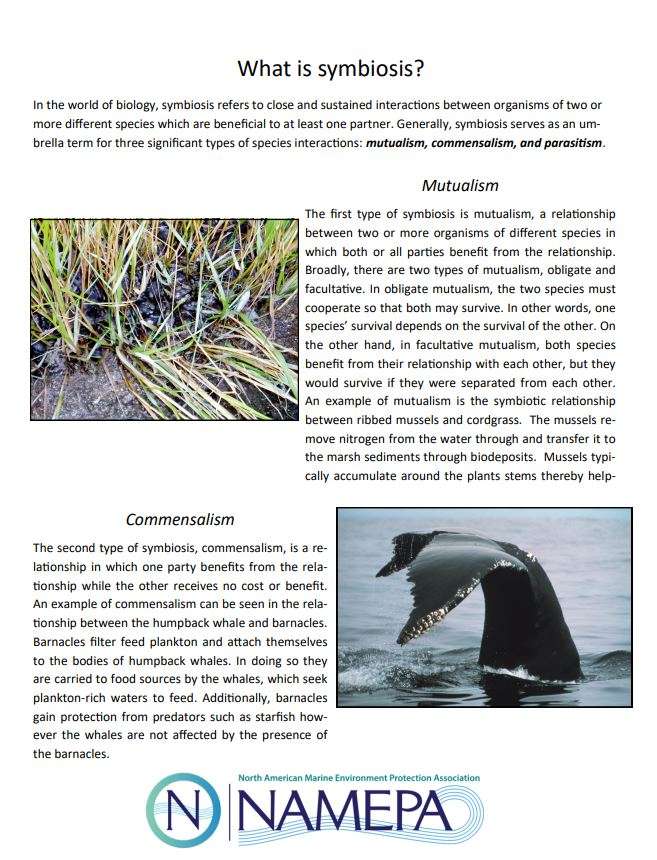 Arctic & Antarctic Zones - NAMEPA