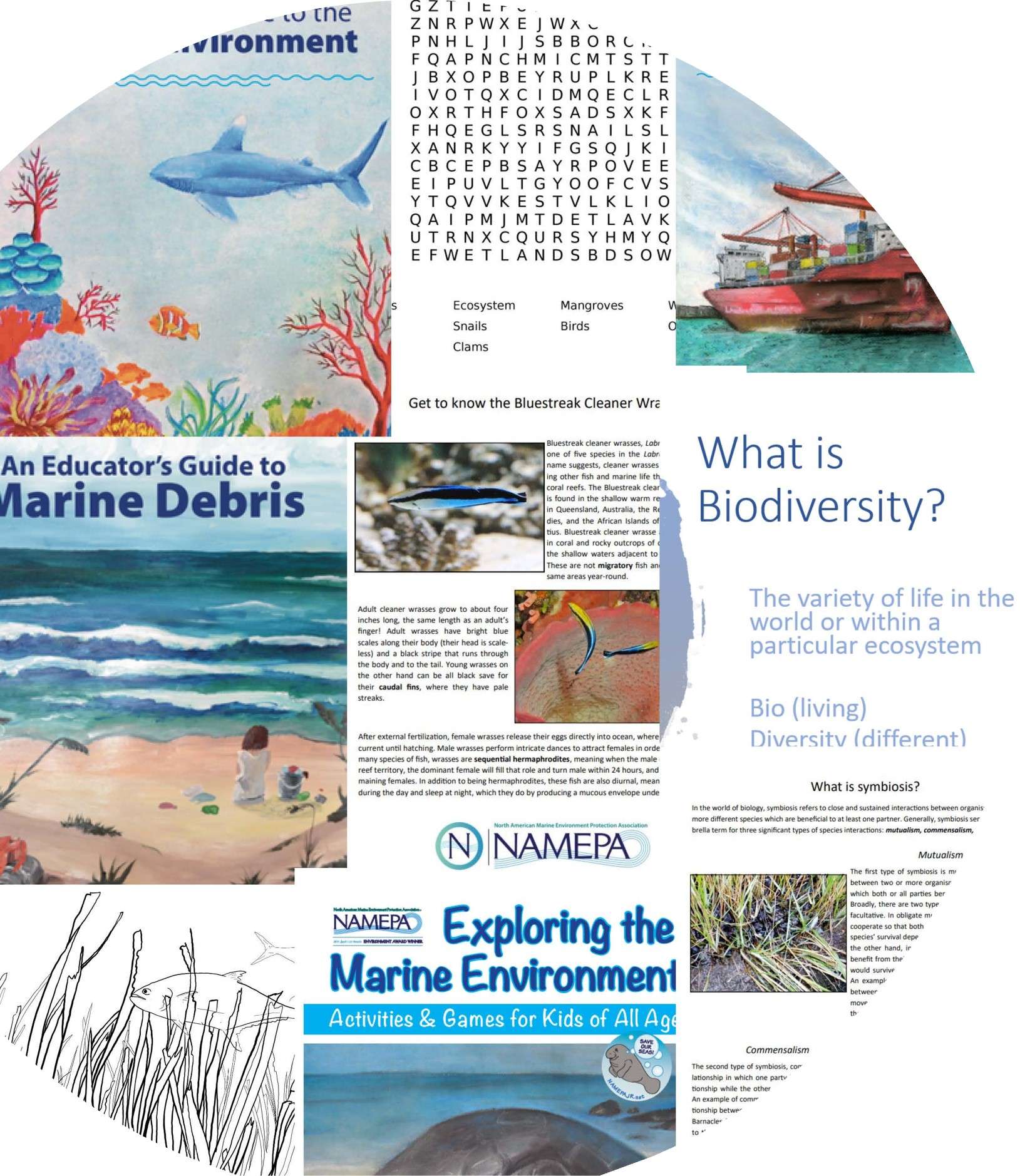 Creating Waves in Marine Education: NAMEPA Educational Resoures - NAMEPA