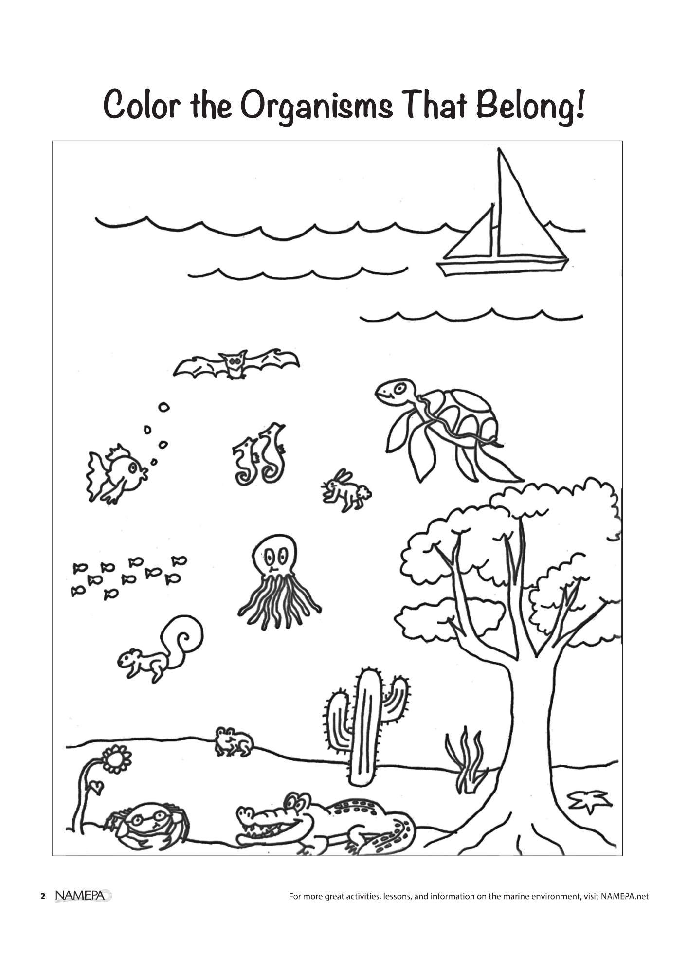 Sunlight Zone - NAMEPA