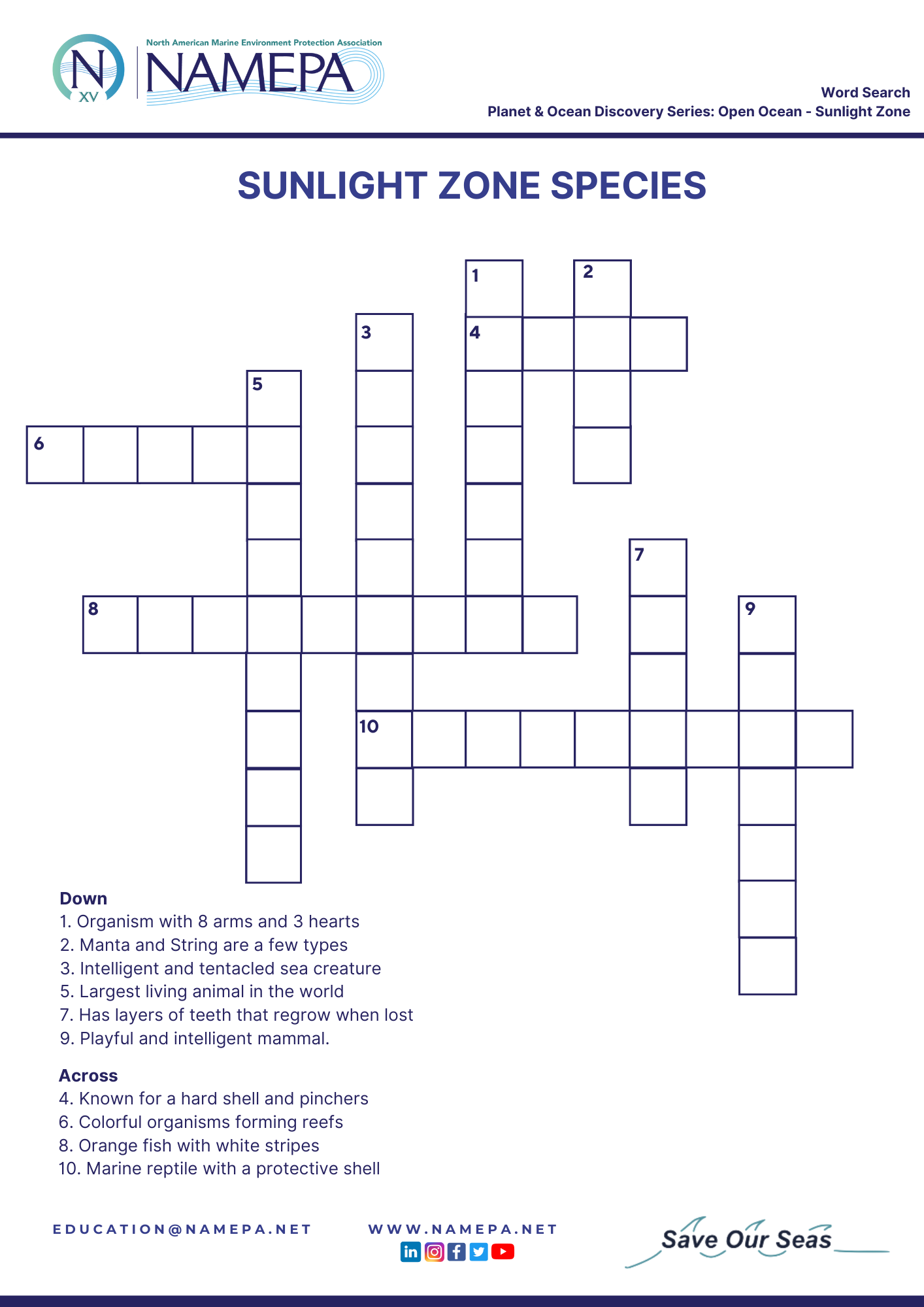 Sunlight Zone - NAMEPA