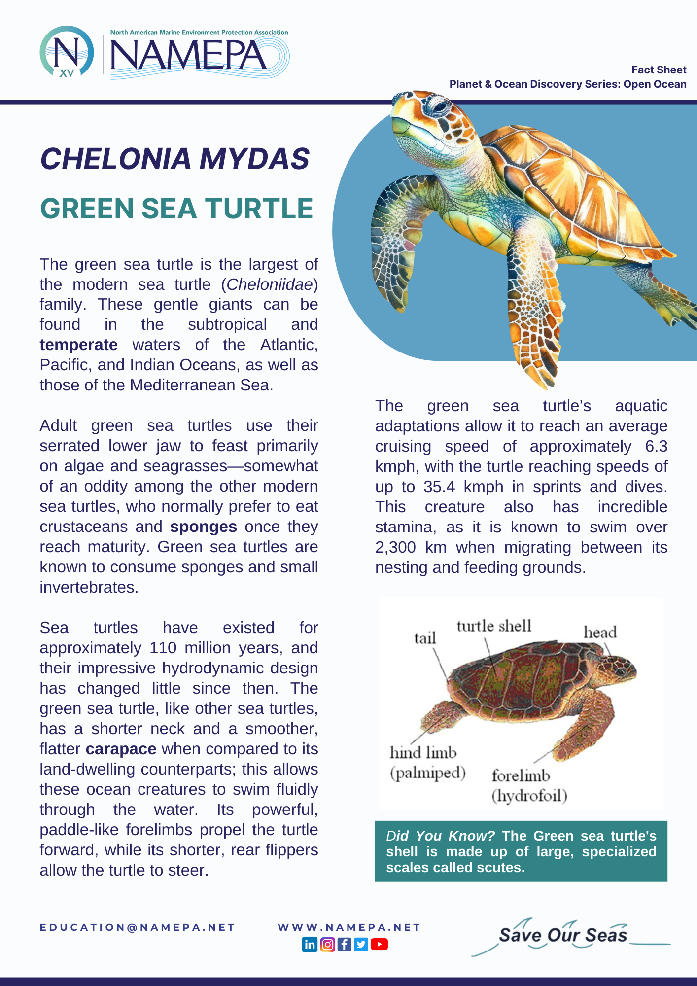 Sunlight Zone - NAMEPA