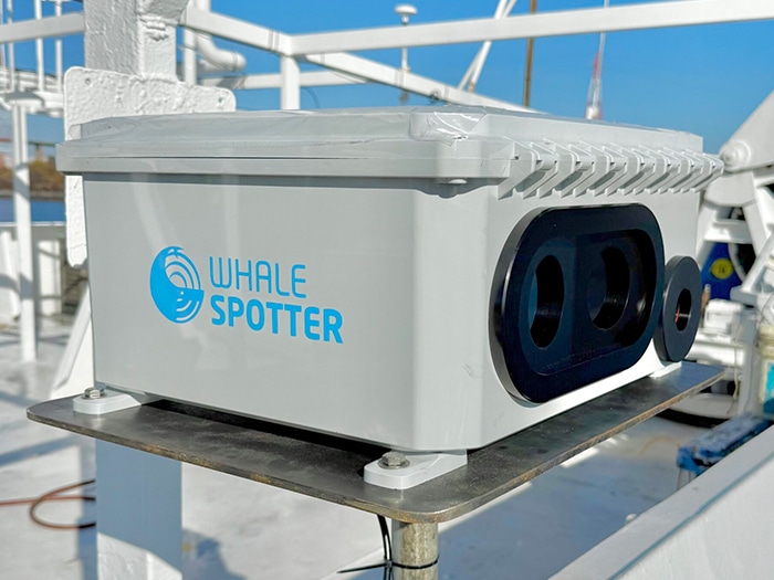 Matson rolls out WhaleSpotter whale detection system on multiple ships ...